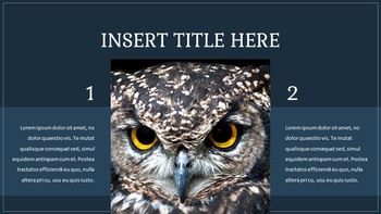 Owl Easy Google Slides Template