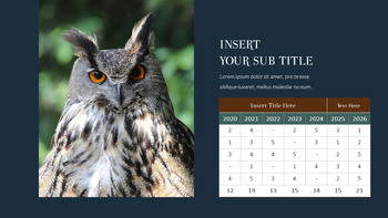 Owl Slide PPT