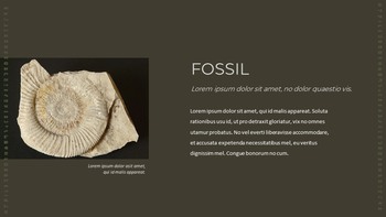 Fossil Simple Slides Templates