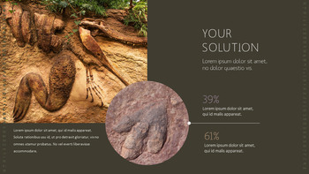 Fossil Templates PPT