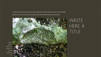 Fossil Templates PPT