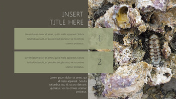 Fossil Templates PPT