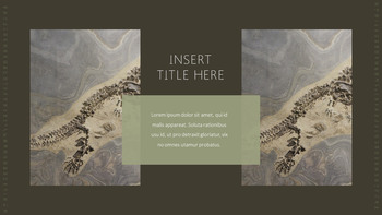 Fossil Templates PPT