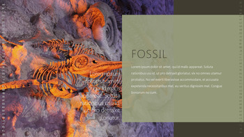 Fossil Templates PPT