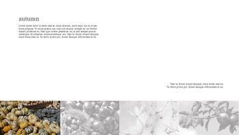 AUTUMN Simple Google Templates