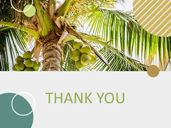 coconut tree presentation template