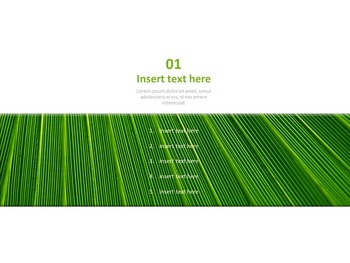 Green Striped Texture- Quadrangled Border - Google Slides Images Free ...