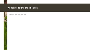 Jan Van Eyck "The Arnolfini Marriage" - Google Slides Template Free