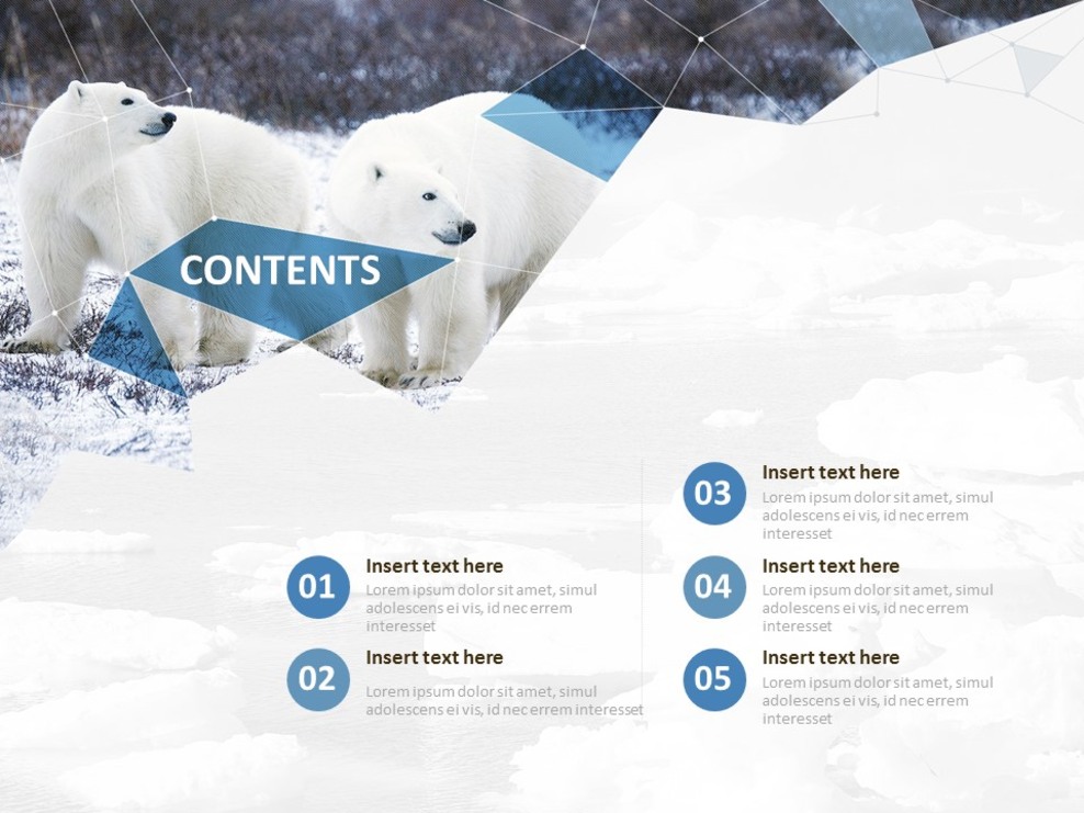 Glacier and Polar Bears - Free PPT Template