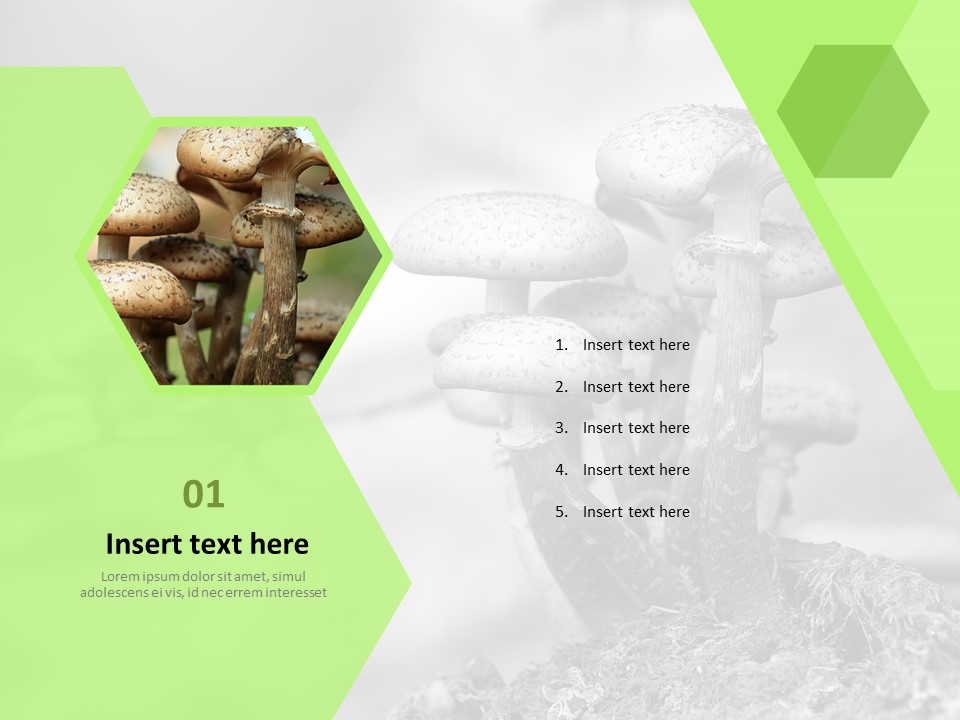 Hongos en las montañas - Diseño de plantilla gratis