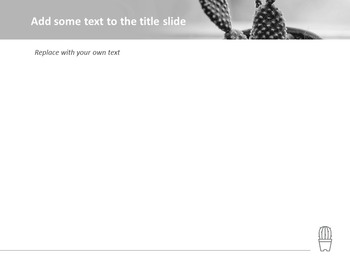 Free Presentation Template - Cactus