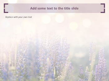 Purple Lavender - Google Slides Download Free