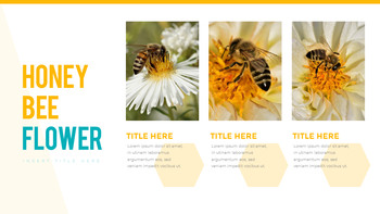 Honeybee creating PowerPoint Presentations