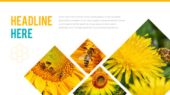 Honeybee creating PowerPoint Presentations