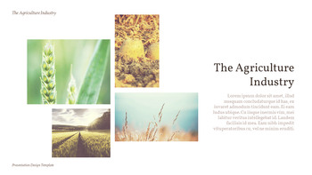 The Agriculture Industry Background PowerPoint