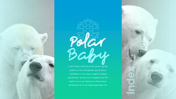 Where do polarbears live PPT Slides