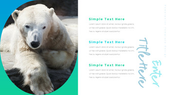 Where do polarbears live PPT Slides