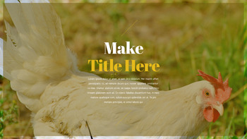 PoultryFarm Simple PowerPoint Templates