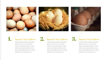 PoultryFarm Simple PowerPoint Templates