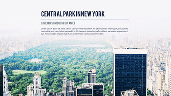 Travel in New York premium PowerPoint Templates