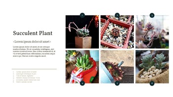 Succulent Plant PowerPoint to Google Slides