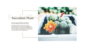 Succulent Plant PowerPoint to Google Slides