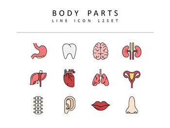 Body Parts Flat Design Icons