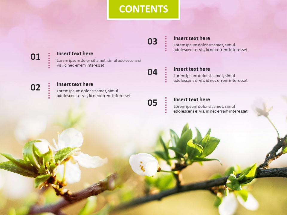 A Beginning of Spring - Free Powerpoint Sample