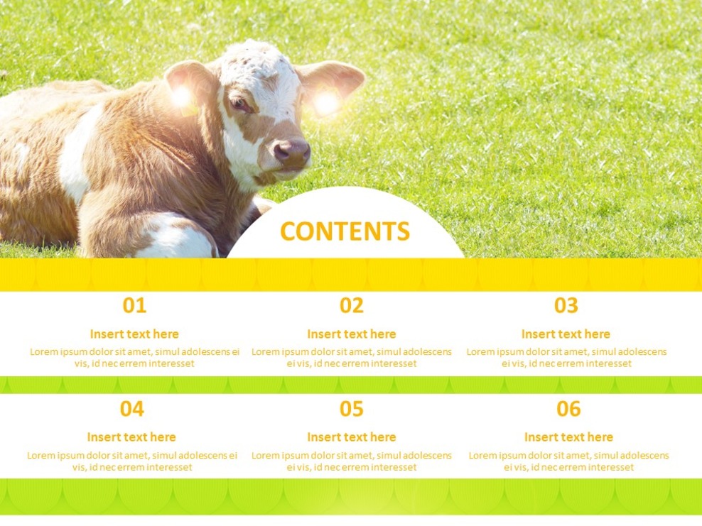 Ein Kalb - Kostenlose Powerpoint-Vorlage