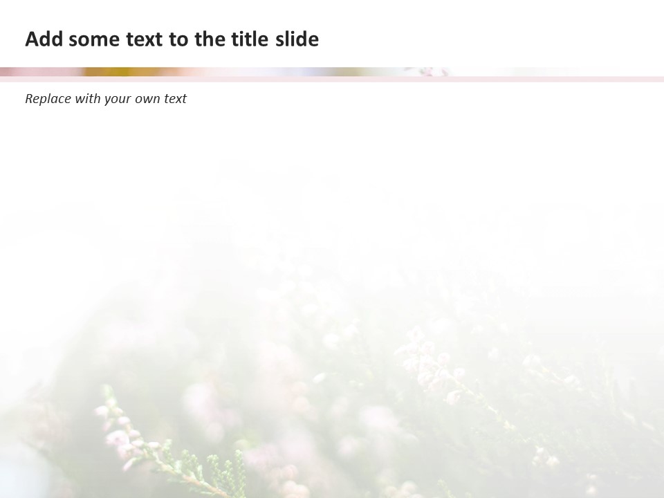 A Fresh Flower Bud - Free PPT Template