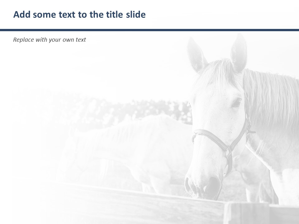 Free Powerpoint Template - White Horse