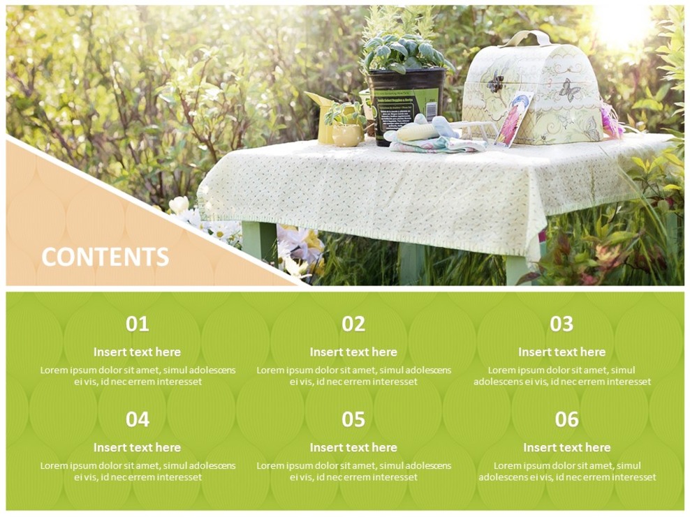 Picnic - Free PPT Sample