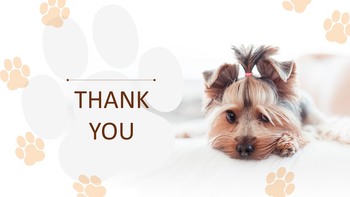 Cute Puppy - PowerPoint Images Free Download
