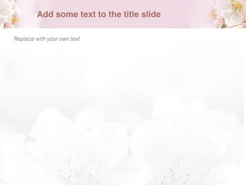 Keynote online Free - Colorful Spring Flowers|Slides