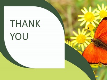 Free Google Slides - Butterfly Theme