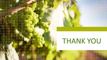 Google Slides Template Free Download - Green Grape Farm