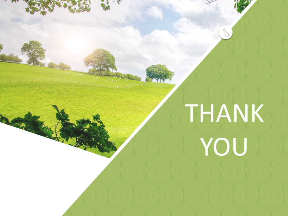 A Field and a Tree - Free PPT Sample