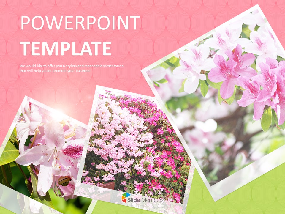 AzaleA and Royal AzaleA - Free Design Template