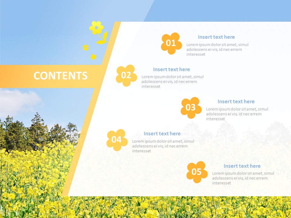 Free Powerpoint Templates Design - Rape Blossoms