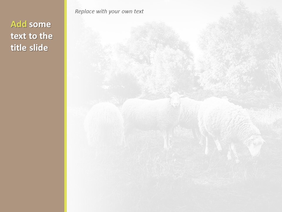 Free PPT Sample - A Flock of Sheep