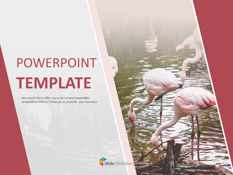 Free PPT Template - A Flamingo in Nature