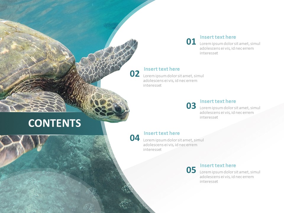 Gratis Plantilla PPT gratuita - Tortuga marina