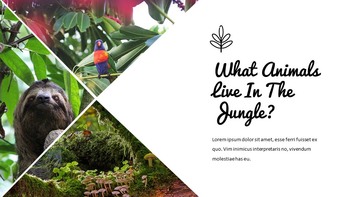 Jungle Simple Google Slides Templates