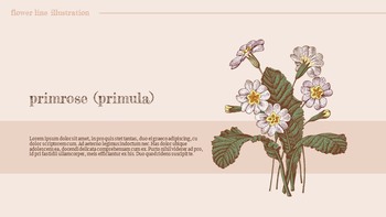 Flower Illustration Custom Google Slides