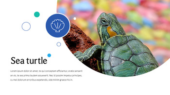 Sea Creatures Templates for PowerPoint