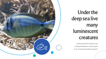 Sea Creatures Templates for PowerPoint