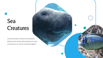 Sea Creatures Templates for PowerPoint