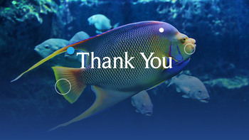 Sea Creatures Templates for PowerPoint