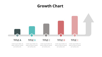 Various Types of Chart Infographic Diagram