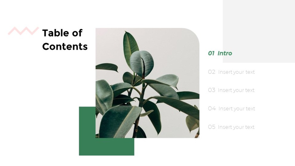 Plants Google Slides Templates for Your Next Presentation